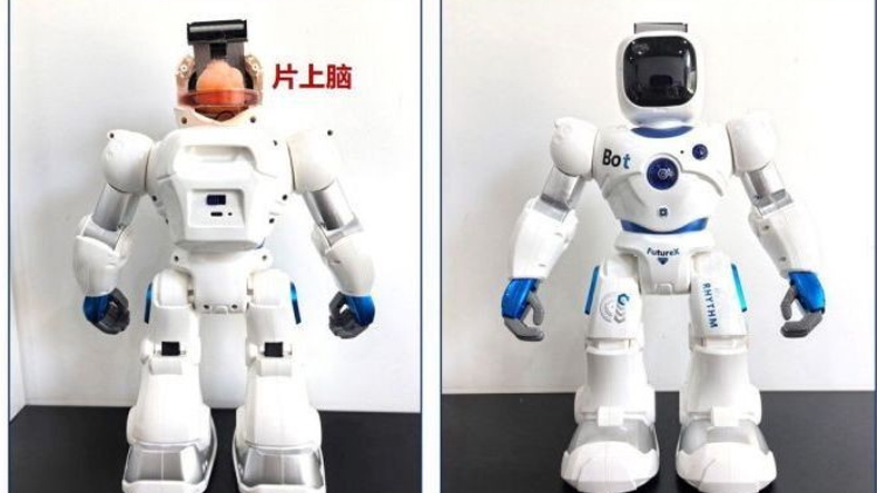 İnsan Beyni ile Kontrol Edilen İlk Robot Üretildi! - YZLM 26